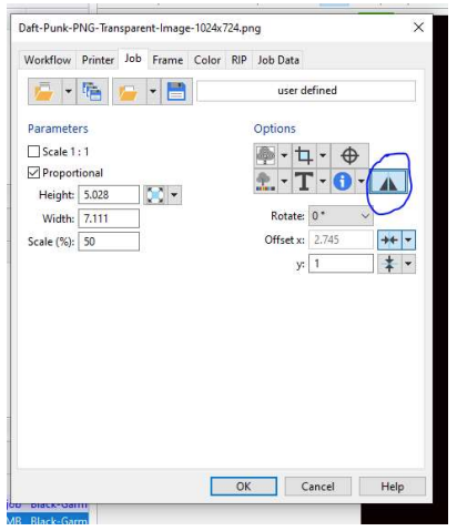 How Do I Use My DTG Printer for Direct-to-Film (DTF) Printing? – Ricoma